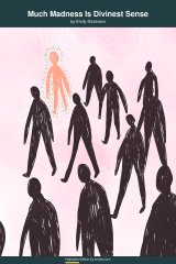 Much Madness Is Divinest Sense Downloads - eNotes.com