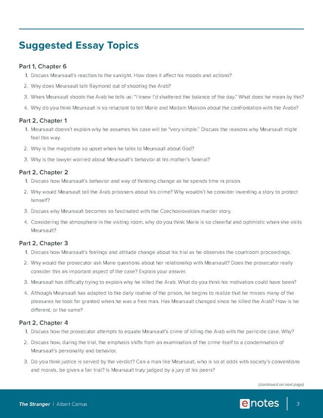 The Stranger Essay Topics and Outlines - eNotes.com
