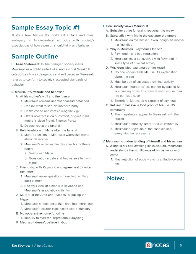 The Stranger Essay Topics and Outlines - eNotes.com