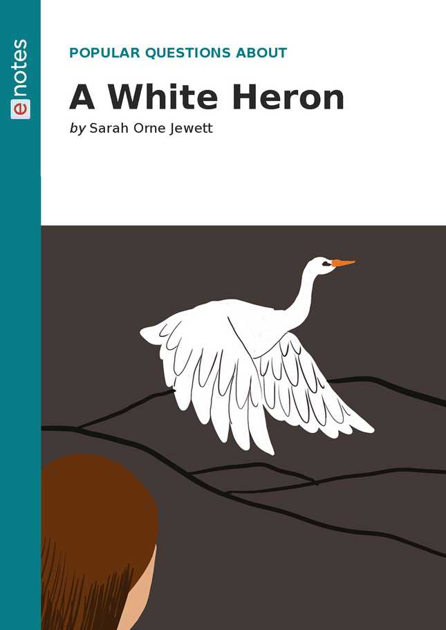 White Heron Jewett