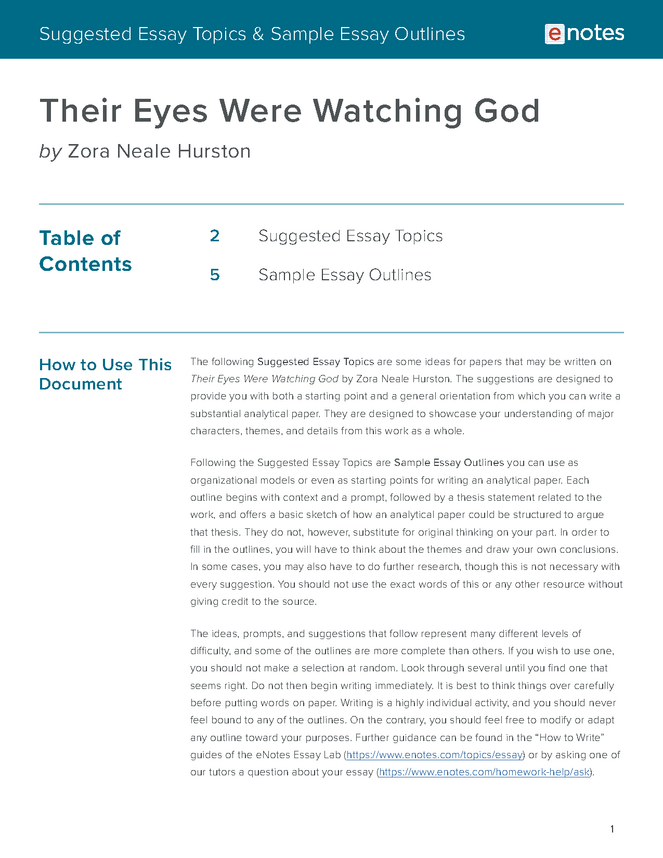 Their Eyes Were Watching God Essay Topics and Outlines - eNotes.com